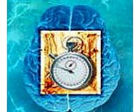 OHSU Primate Center Research Suggests Multiple Body Clocks