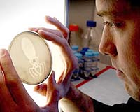 Students Create First-Ever Bacterial Photographs